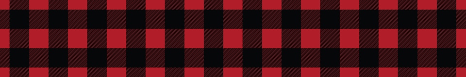 Buffalo Check
