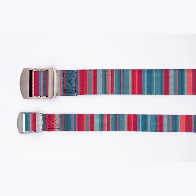 Reversible Basecamp Belt